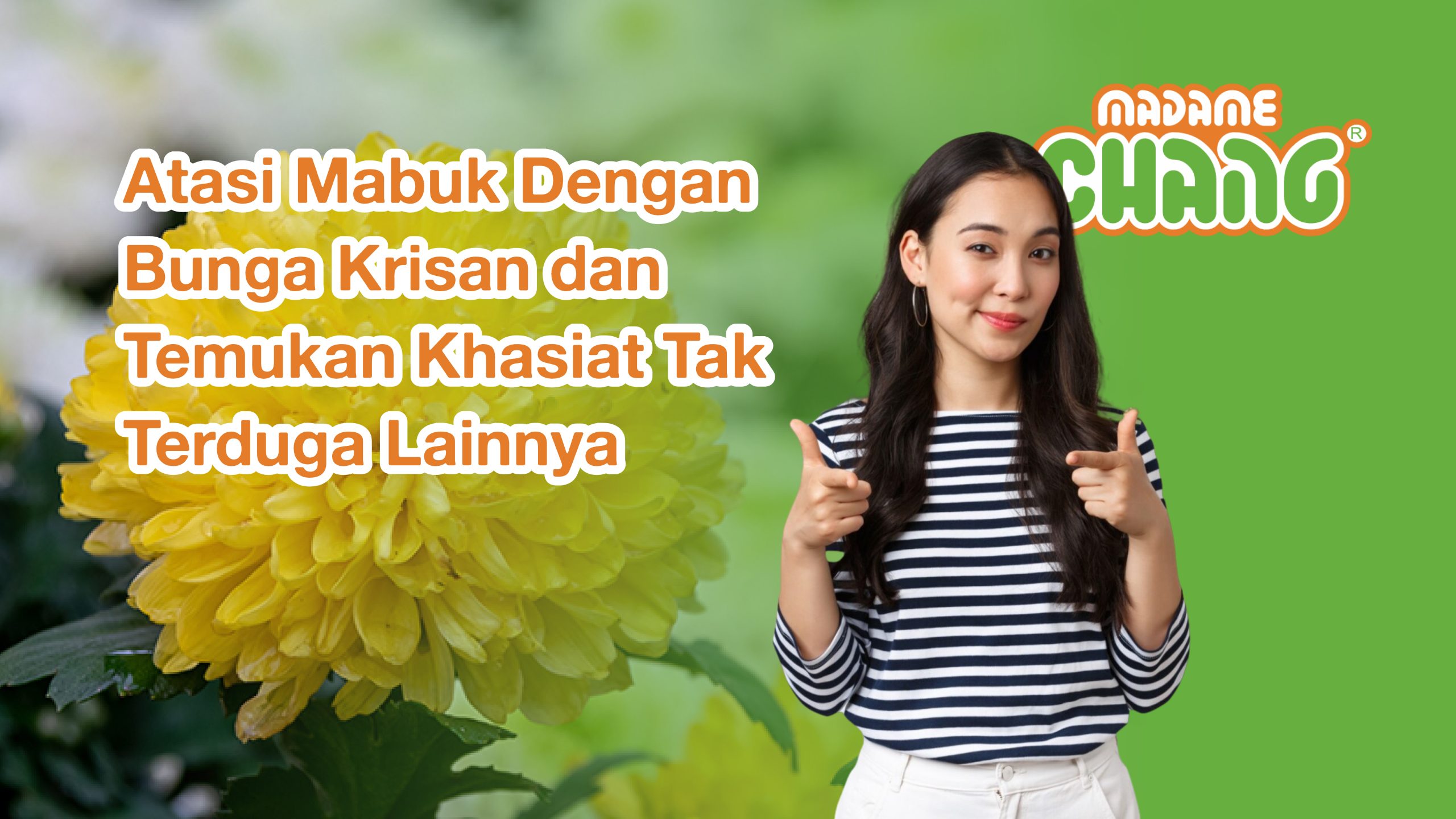 Atasi Mabuk Dengan Bunga Krisan dan Temukan Khasiat Tak Terduga Lainnya - Madame Chang