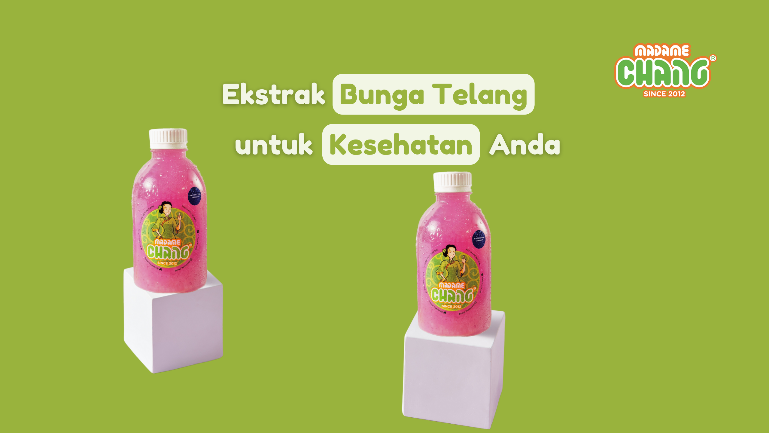 Ekstrak Bunga Telang untuk Kesehatan Anda - Madame Chang