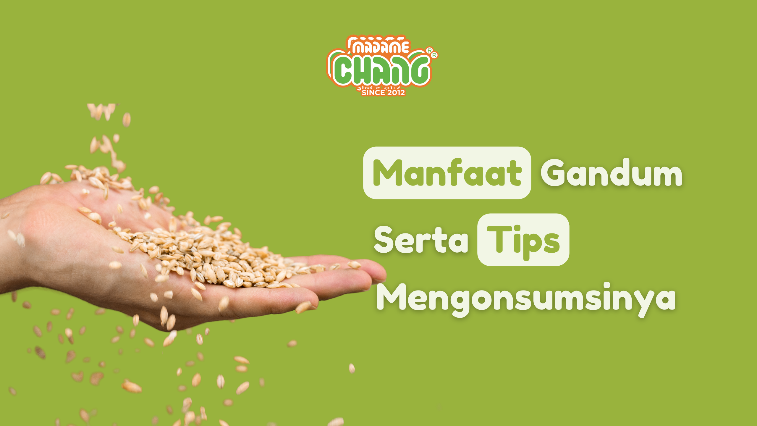 Manfaat Gandum dan Tips Mengonsumsinya - Madame Chang