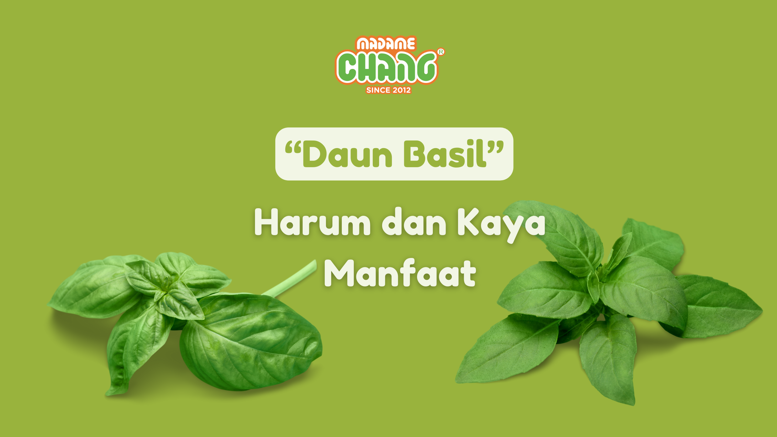 Basil yang Harum dan Kaya Manfaat - Madame Chang