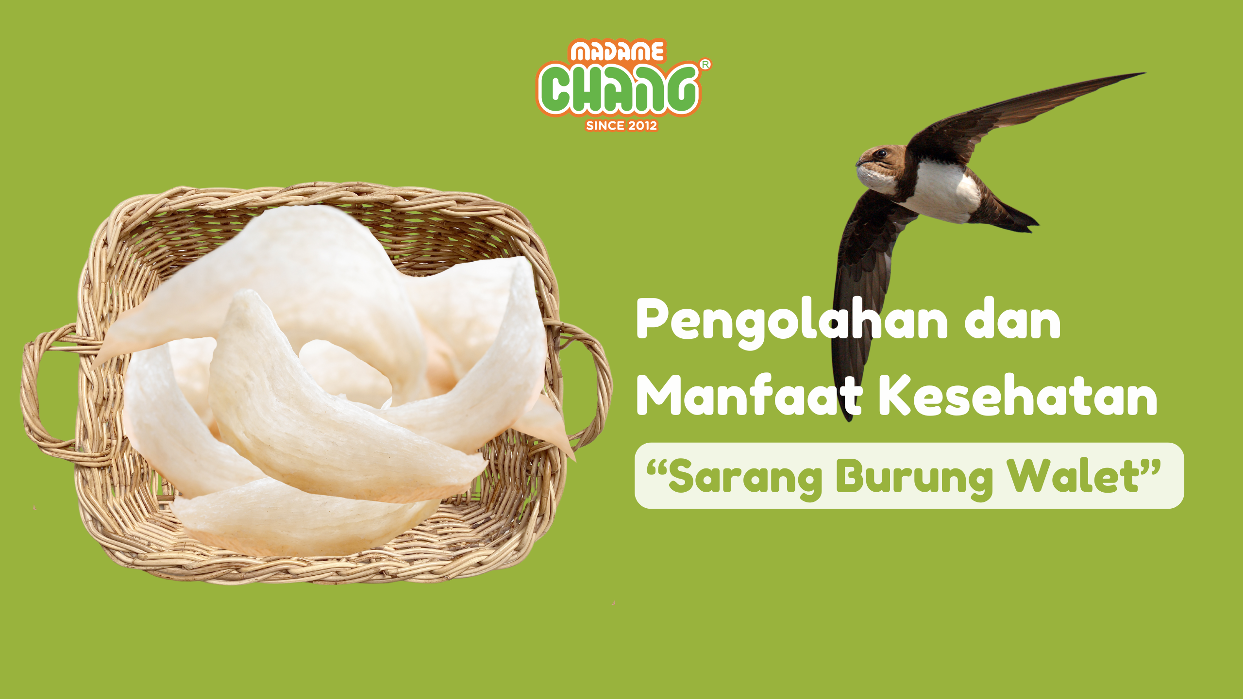 Pengolahan dan Manfaat Kesehatan Sarang Burung Walet - Madame Chang
